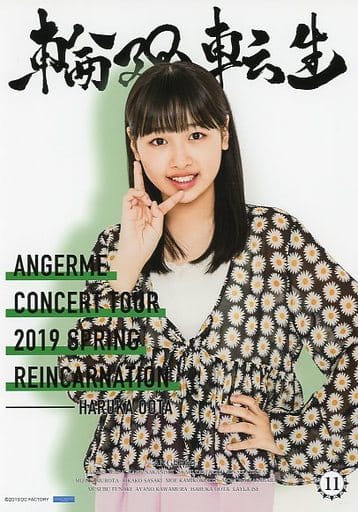 Collection Pinup Poster No. 11 Haruka Ota "Angelm Concert Tour 2019 ...