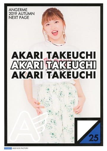 Collection Pin-up Poster No. 25 Akari Takeuchi "Angelm Live Tour 2019 ...