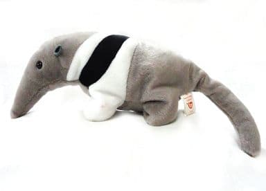 Anteater (Ants) Plush toy Beanie The Babys | Toy Hobby | Suruga-ya.com