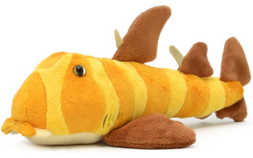 Japanese bullhead shark Plush toy "The Shark Collection" | おもちゃホビー ...