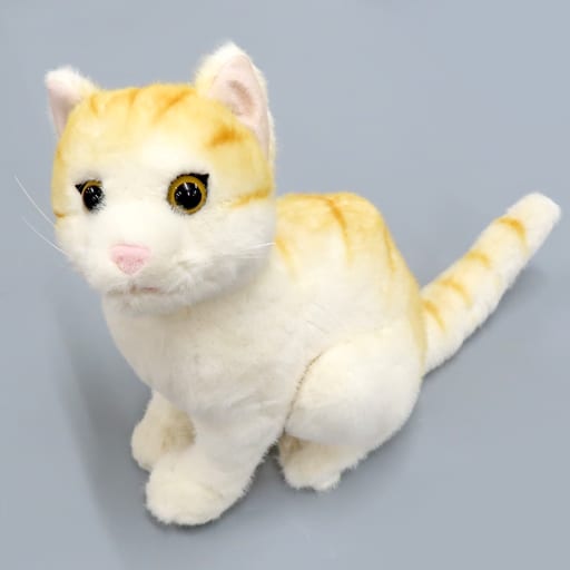 Chato District THE Real Cat Plush toy | Toy Hobby | Suruga-ya.com
