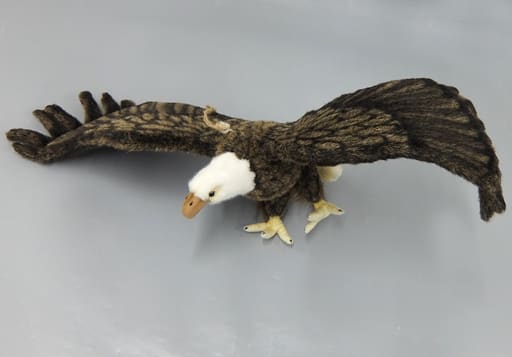 Plush toy Bald eagle Plush toy | Toy Hobby | Suruga-ya.com