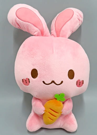 Plush toy Tsukiusa-chan (Normal) Plush toy Get Live Limited | Toy Hobby ...