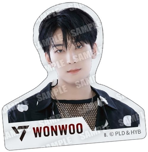 Food toy stickers and stickers 6. "SVT GUMMI2 From PLEDIS ENTERTAINMENT ...