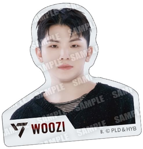 Food toy stickers and stickers 7. "SVT GUMMI2 From PLEDIS ENTERTAINMENT ...