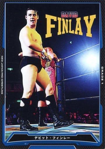 King of Pro Wrestling / C / Wrestler / 15 th STRONG STYLE SPECIAL BT15-022 [C] : David Finley ...