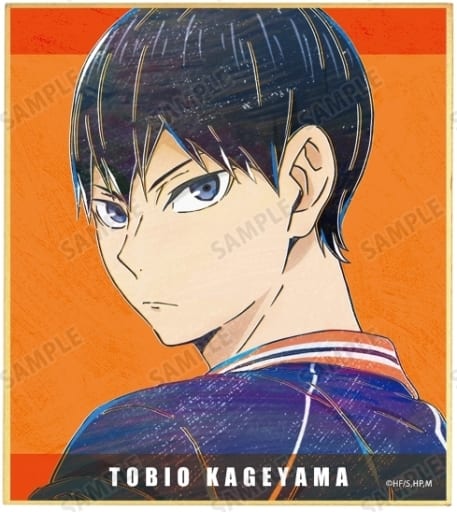 Kageyama Tobio "Haikyu! Trading Ani-Art 7th Mini Colored Paper" | Goods ...