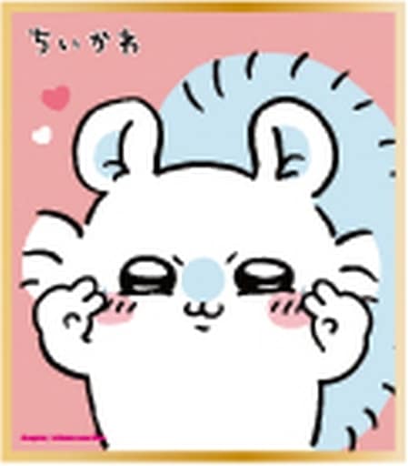 04. Flying squirrel' Chiigawa Shikishi Collection 2' | Goods ...