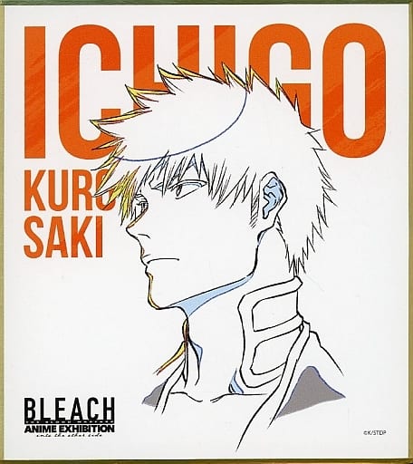 Paper product Ichigo KUROSAKI "Bleach - Bleach - Sennen Kesen Hen ANIME ...