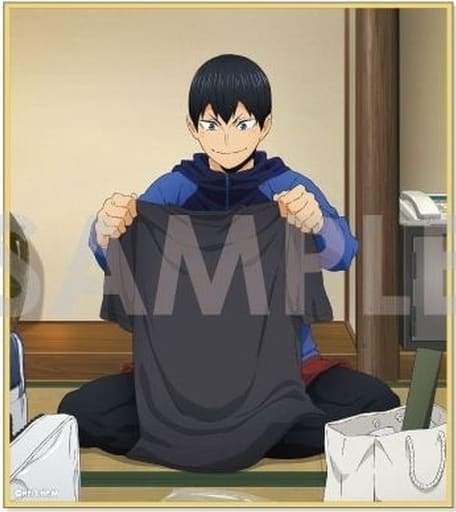 Kageyama Tobio "Haikyu! Trading Mini Colored Paper -One Fine Day ...