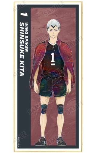 Nobusuke Kita "Haikyu! Trading Ani-Art 6th Stand with Colored Paper ...