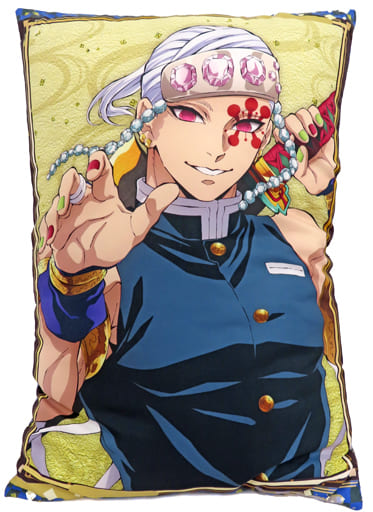 Umi-Tengen Premium Art Cushion Illustration Series Vol. 1 "Demon Slayer ...