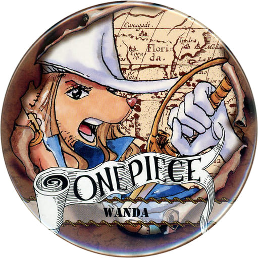 Badge Pins Wanda "ONE PIECE Collection metal badge 5th" | Goods ...