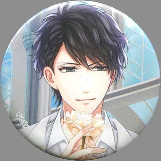 Badge Pins (Victor Character) Aoyama Tree 「 Stand my Heroes Trading ...