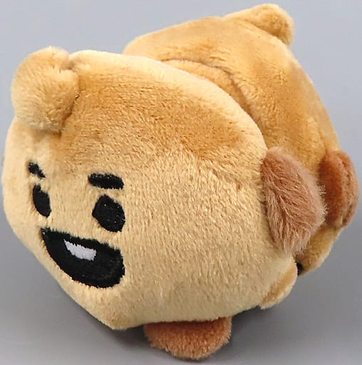 SHOOKY (Sugar) crocodile hair clip "BT21" | Goods / Accessories ...