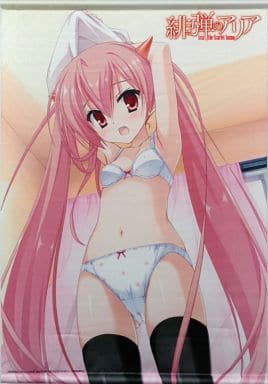 Tapestry Aria Holmes Kanzaki B2 Tapestry 「 Blu-ray & DVD Aria THE Scarlet Ammo first edition ...
