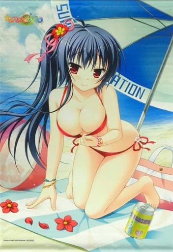 B2 Tapestry "PS4 Soft Kalmer Luca * Circle Full Production Limited Edition" drawn by Nagetsu ...