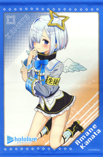 Kanata Amane Tapestry "Virtual YouTuber Hololive ×MOLLY. ONLINE Vol. 4" | Goods / Accessories ...