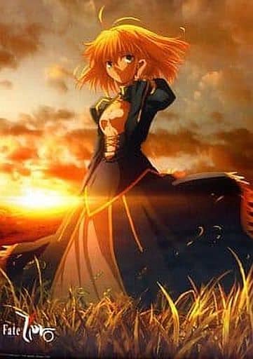 [Damaged item] Saber-drawn B2 Tapestry "Fate/Zero Blu-ray Disc Box II" Sofmap Purchase benefits ...