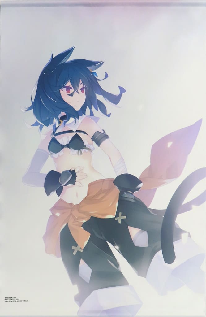 Franc B2 Tapestry "Light Novel, Reincarnated, Sword 16" Surugaya Paid Benefit | Goods ...