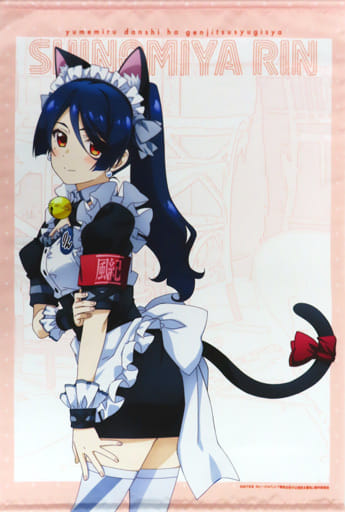 Rin Shinomiya (Neko Mimi soup Maid ver.) B2 Tapestry "Eureka! KUJI ...