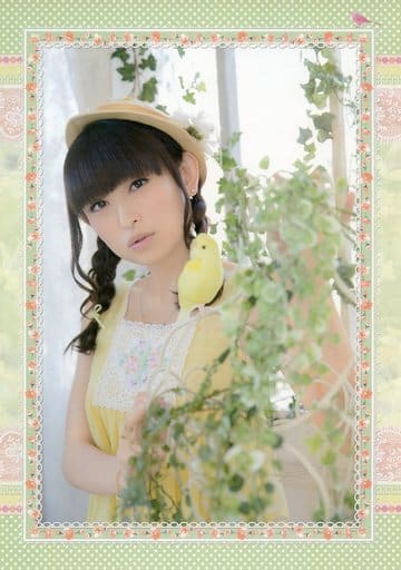 Paper products (female) Yukari Tamura A4 portrait "Yukari Tamura LOVE ...