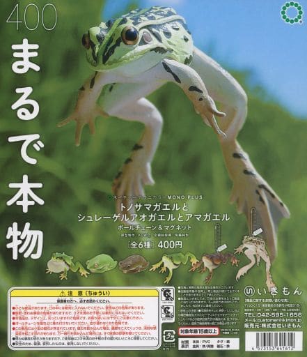 "Nature Technicolor MONO PLUS dark-spotted frog, Schlegel's green tree ...