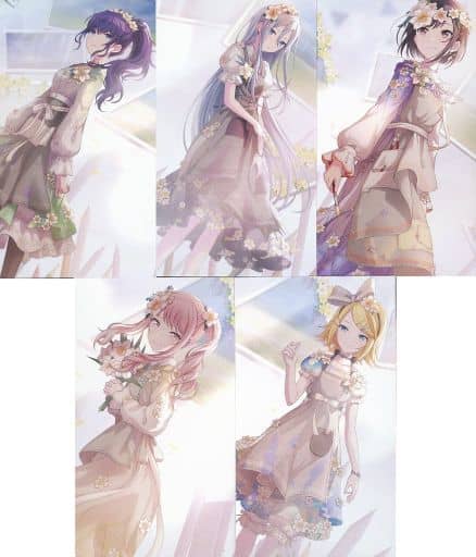 All 5 Kinds Set Original Trading Card "CD Project Sakai Karafuri Class ...