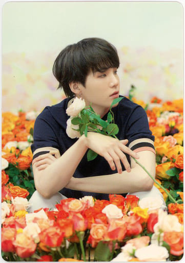 Character card [Single Item] Sugar (BTS / BTS) Mini Photo Card (2/8 ...