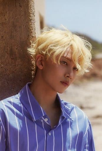 John Han (Seventeen) postcard "CD Al1" enclosed special gift | Goods ...