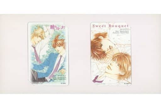 Anime and manga telephone cards (2-Pack) 託生 Mt. Hayama / Giichi Saki ...