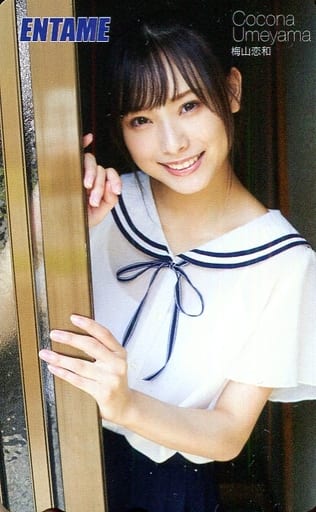 ' Umeyama Koiwa' Monthly Entertainment, November 2020 Zen-Pre | Toy ...