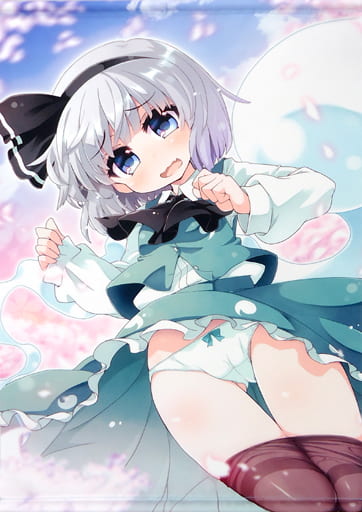 Doujin-Poster, Tapestry, Calendar [Toho Project] B2 Youmu Tapestry Tamahaku Youmu (Akaneya) The ...