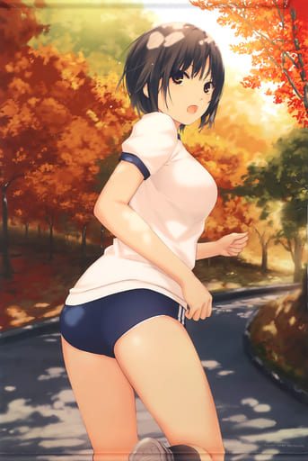 [Original] B2 Tapestry Aoyama 澄香 (Coffee Kizoku) Melonbooks Girls collection2021 calendar ...