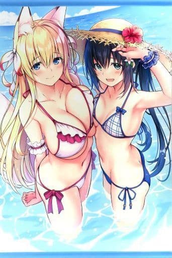 同人ポスター・タペストリー・カレンダー系 【オリジナル】B2タペストリー このは＆ゆきは(希望つばめ) C100/きつねのよめいり | 同人 | Suruga-ya.com