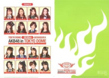 Team K A4 clear file "AKB48 in TOKYO DOME ~ 1830m no Yume ~" | Goods / Accessories | Suruga-ya.com