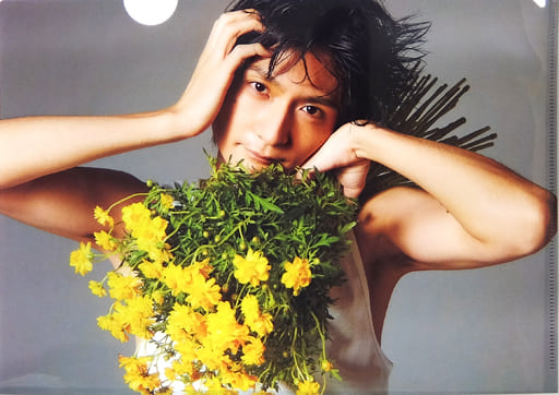 Shimasaki Nobunaga A4 plastic trasparent file folder "TV Guide VOICE ...