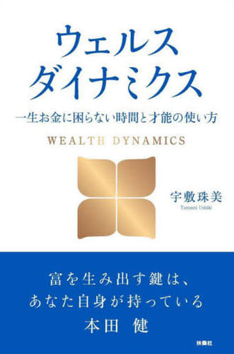 Book (Practical) Essays and essays Wealth dynamics The use of time and ...