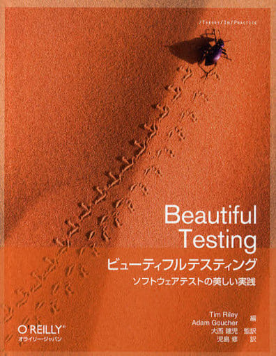 Computer Beauty Testing - Software Development management | Book ...