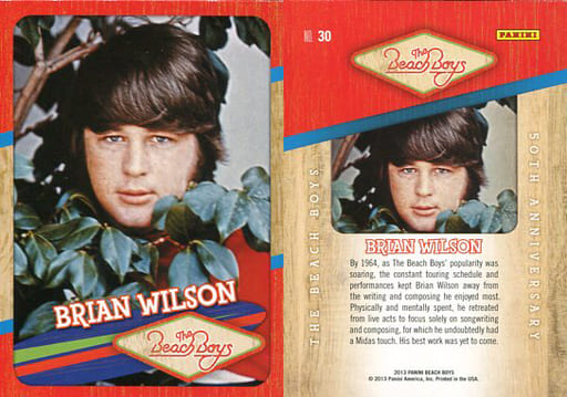 Collection Card (Male) / 2013 PANINI the Beach Boys Trading Card NO. 30 ...