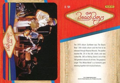 Collection Card (Male) / 2013 PANINI the Beach Boys Trading Card NO. 51 ...