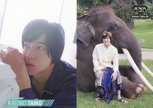 Collection Card (Male) / Taiko Katono First Trading Card Katono Taiko ...