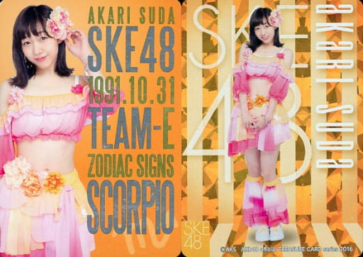Idol (AKB48 / SKE48) / AKB48 / SKE48 / HKT48 official Treasure CARD ...