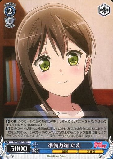 BD/W47-101 [U] : Everything is ready | Toy Hobby | Suruga-ya.com