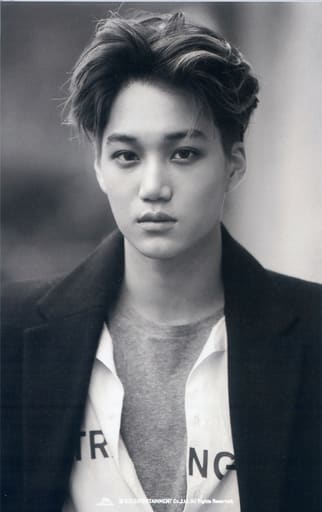 Official photo (Male) / idol / EXO EXO/KAI / Bust Up / Costume Black ...