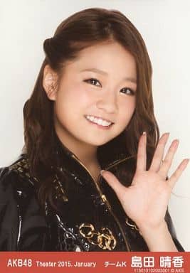 Official photo (AKB48, SKE48) / idol / AKB48 Haruka Shimada / Bust Up / Theater Trading Official ...