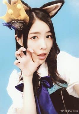Official photo (AKB48, SKE48) / idol / AKB48 Meow KB with Tsuchinoko ...