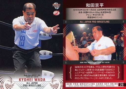 BBM / Regular Card / BBM2009 Pro-Less Card Set 08-09 All Japan Pro ...