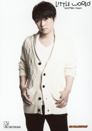 Soichiro Hoshi / CDs 「 LITTLE WORLD 」 Gamers Ltd. special photo | Goods ...
