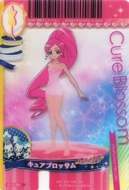 Precure DataCardDAS / [Precure All Stars] "Precard Collection 6 Precure ...